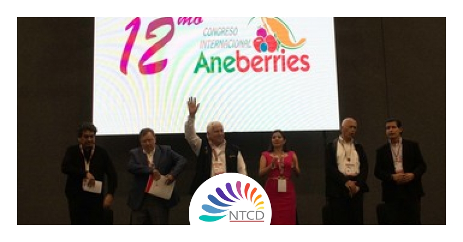 Destaca Agricultura aporte de los productores de berries en generación ...