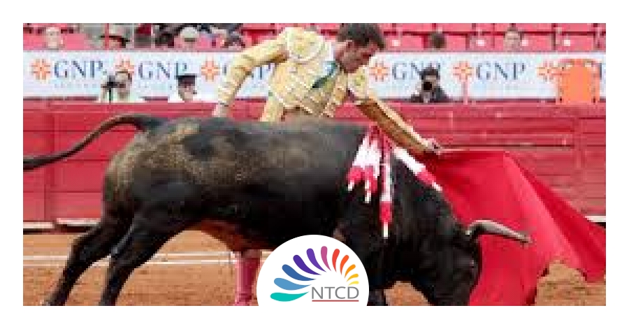 Regreso de las corridas de toros a la Ciudad de México celebrando el 78 ...