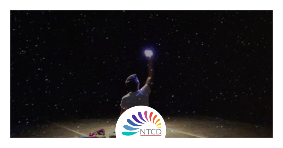 Piñata para los monstruos: Unipersonal de danza, teatro y comedia en el ...