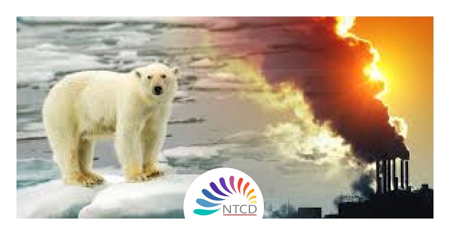 El Papel de la Variabilidad Climática Natural en el Calentamiento ...