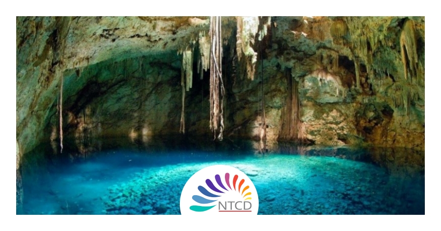 Los cenotes de México: maravillas naturales y cómo preservarlos - NTCD ...