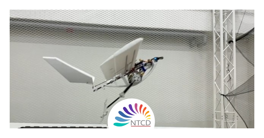 RAVEN: el dron inspirado en aves que revoluciona la tecnología - NTCD ...