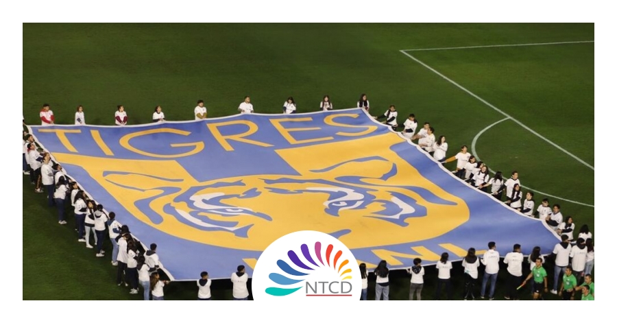 Tigres analiza fichar a Aldo Rocha para el Clausura 2025 - NTCD Noticias