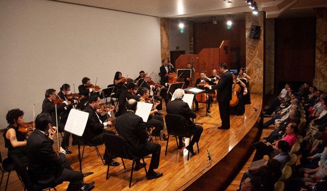 OCBA estrenará mundialmente 'Colibrí' y 'Albatros' en el Jardín ...