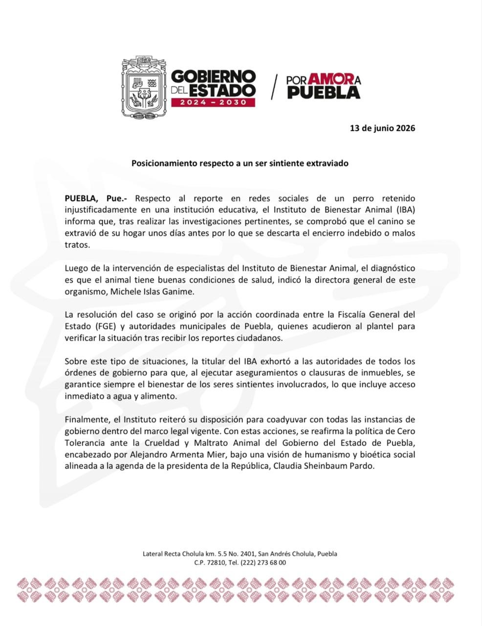 Instituto de Bienestar Animal descarta maltrato en caso de perro ...