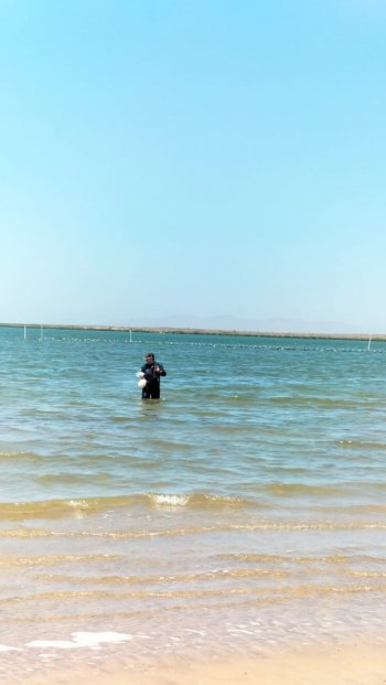 COEPRIS confirma florecimiento algal no tóxico en bahía de La Paz ...