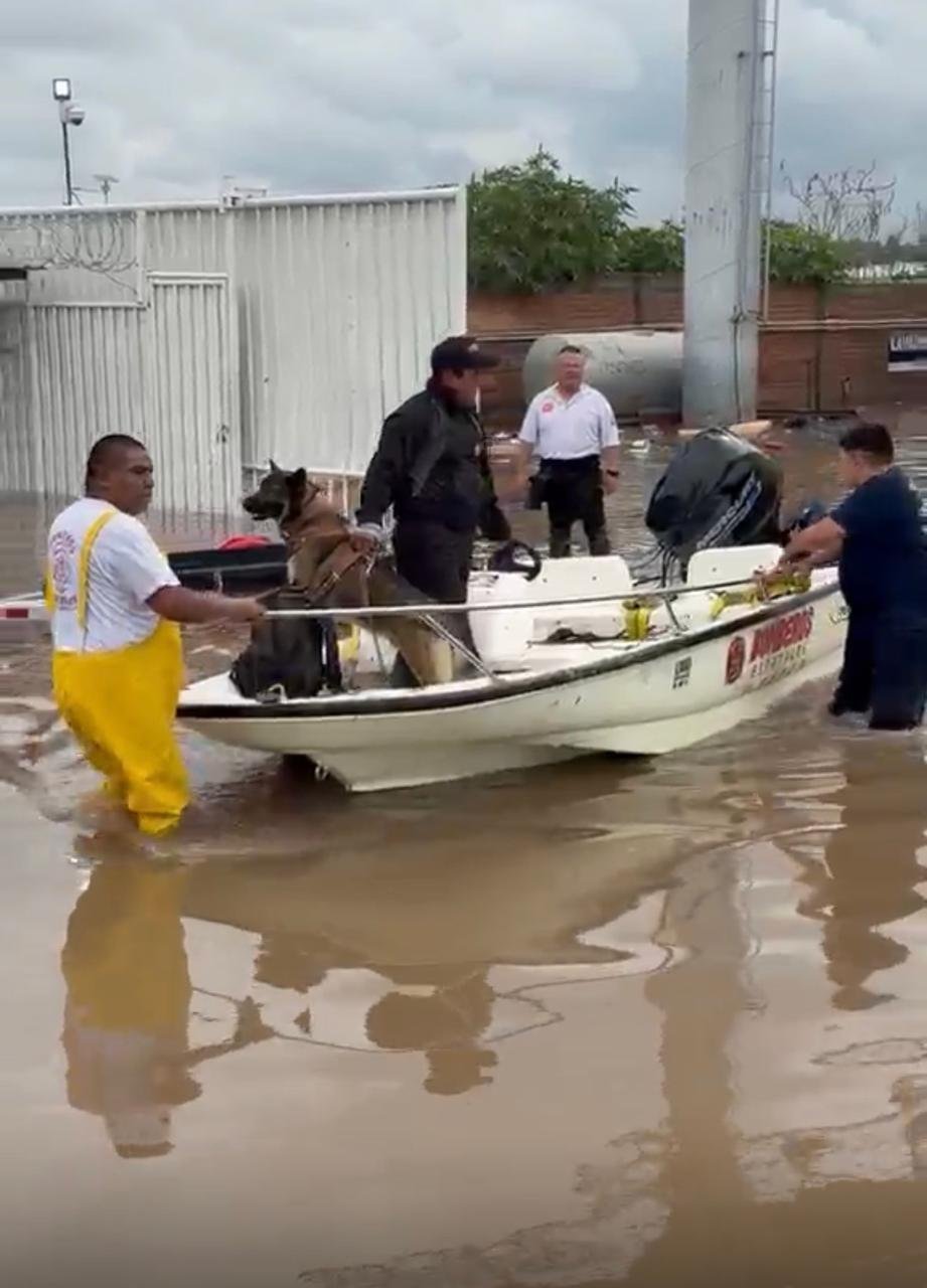 Rescatan a dos personas y sus perros atrapados por inundación en el ...